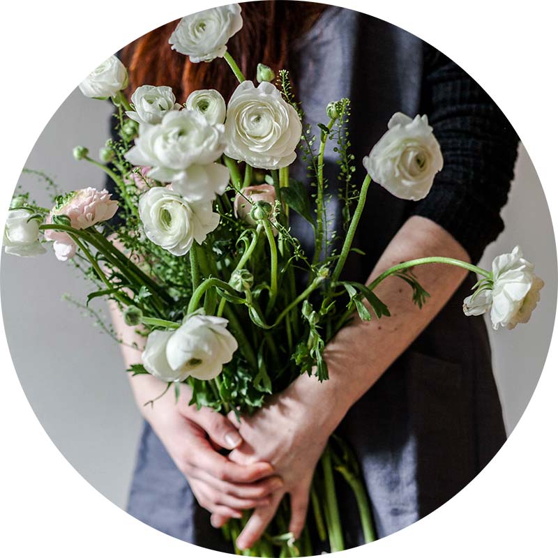 My blog – Just another WordPress site